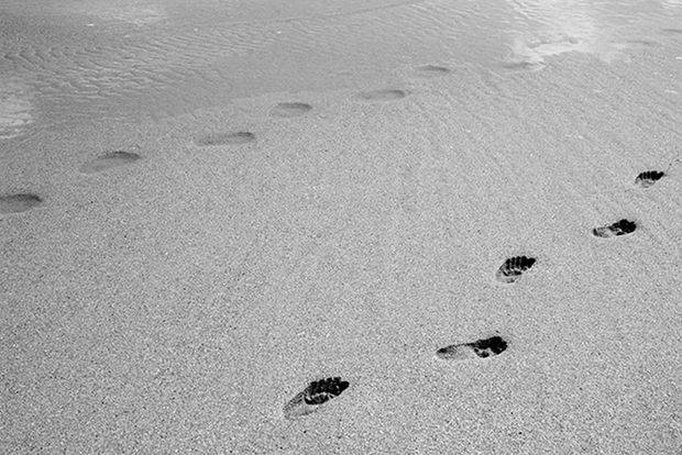 Striding ahead | Captive International